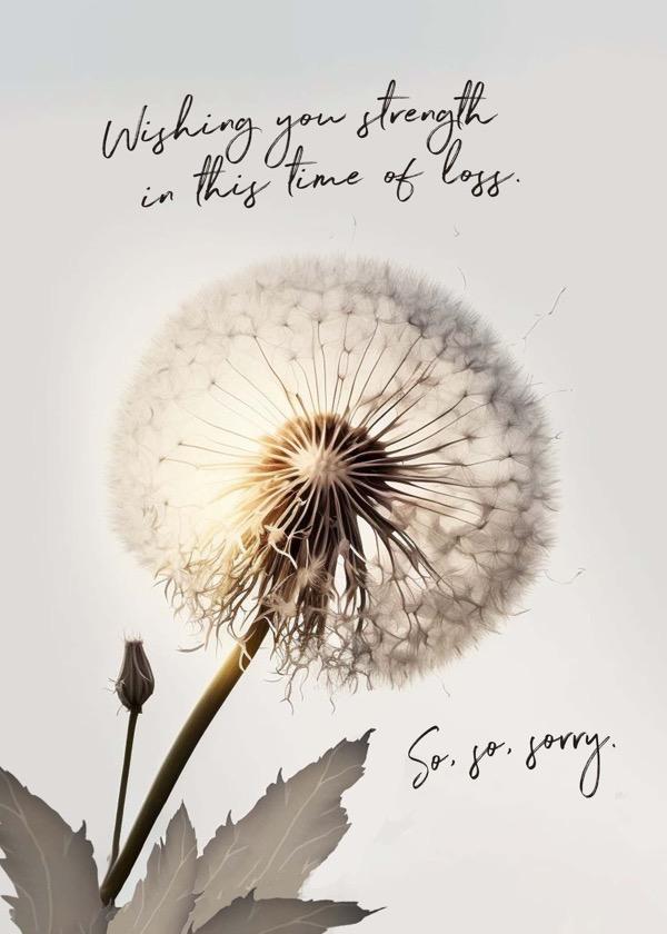 Wishing you strength with dandelion in the sun