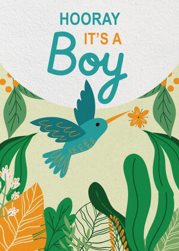 Blue boy hummingbird