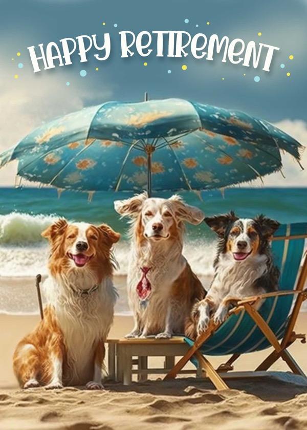 retirement dogs
